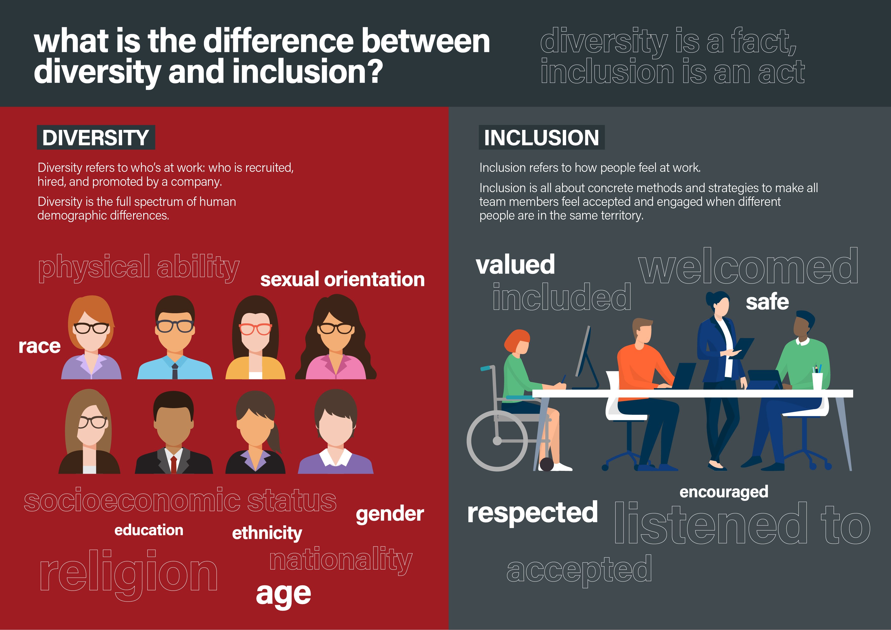 What is the difference between diversity and inclusion?